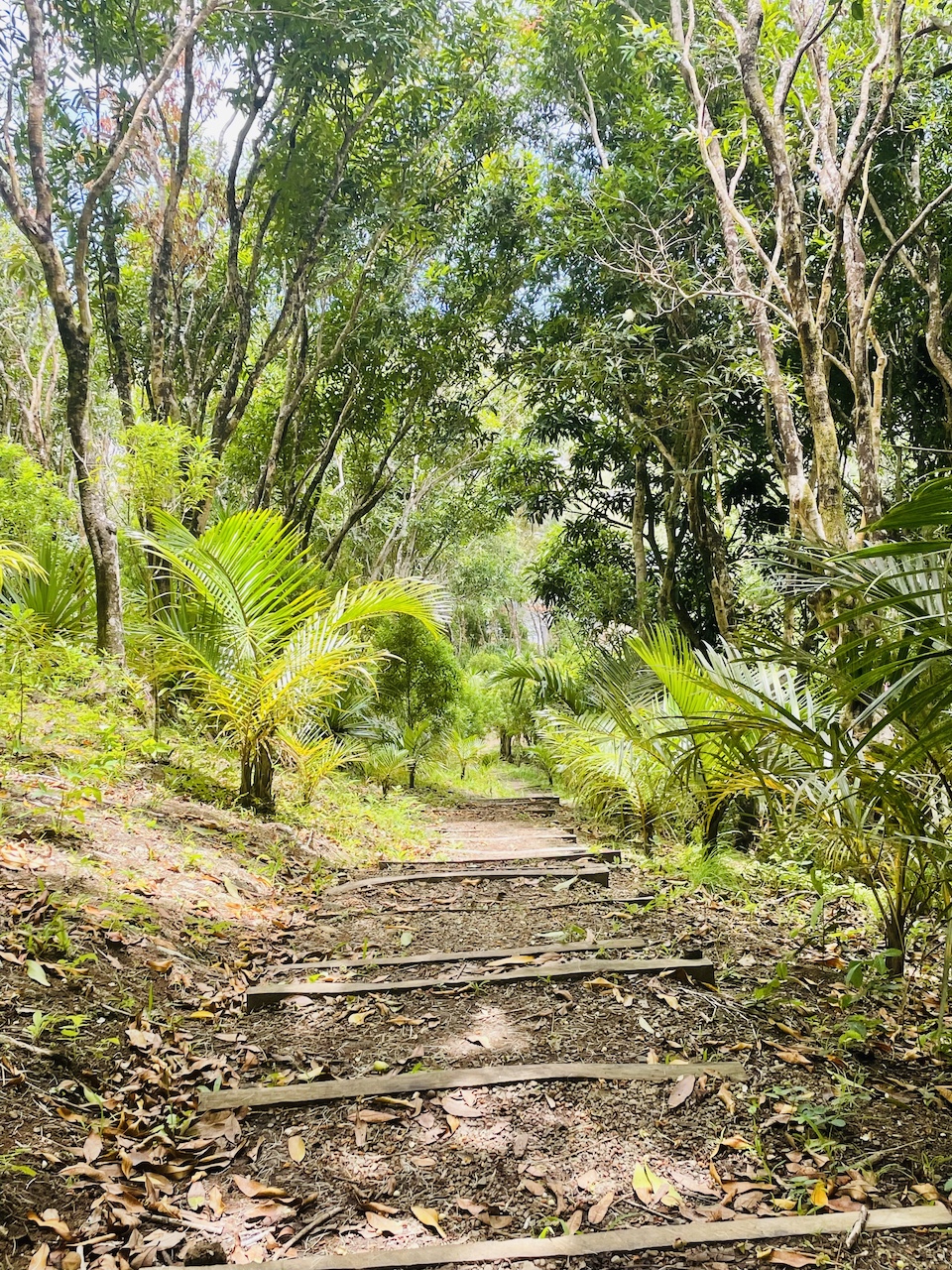 Mont Limon En | Discovery Rodrigues